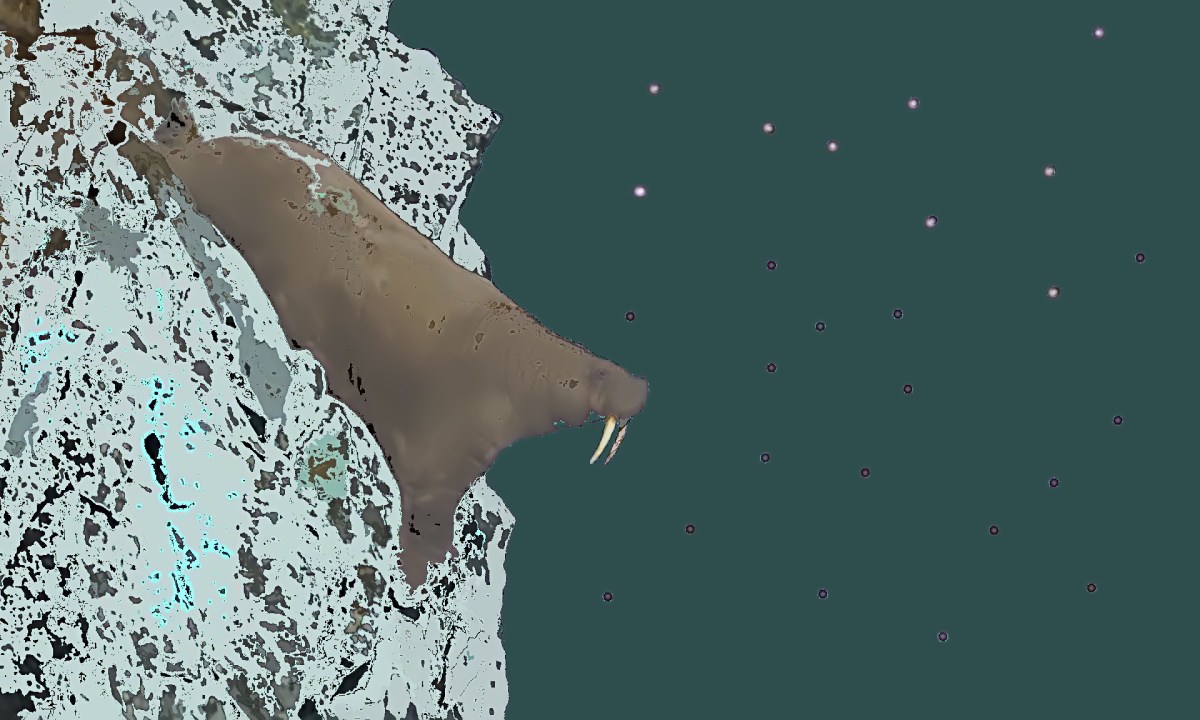 The Avatar Projection Protocol – JOURNAL OF THE FIRST OUTERNATIONAL